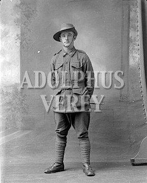 Hawthorn – Adolphus Verey Photographic Collection